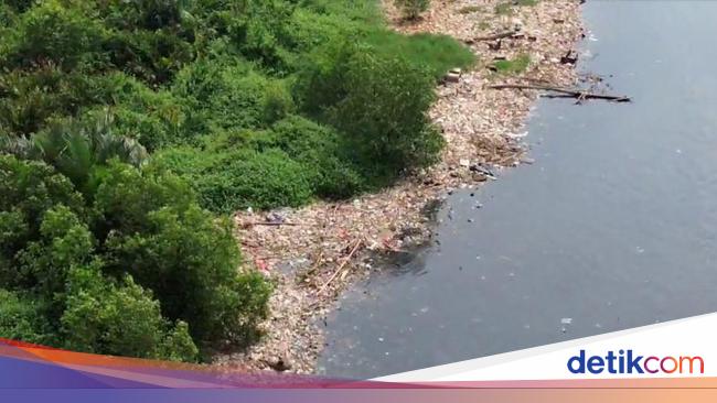 Kapolda Metro Kerahkan Pasukan Bersihkan Sampah di Hutan Mangrove Jakut