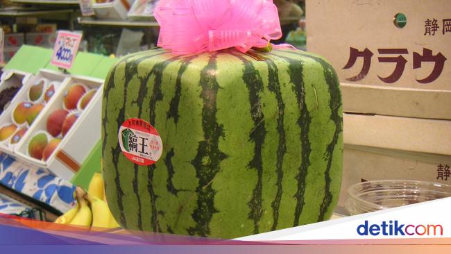 Hanya Ada di Jepang! Ini 5 Buah Unik, Lemon Melon hingga Akebi
