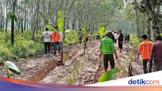 Protes Jalan Rusak 41 Tahun Tak Diperbaiki ala Warga di Lampung