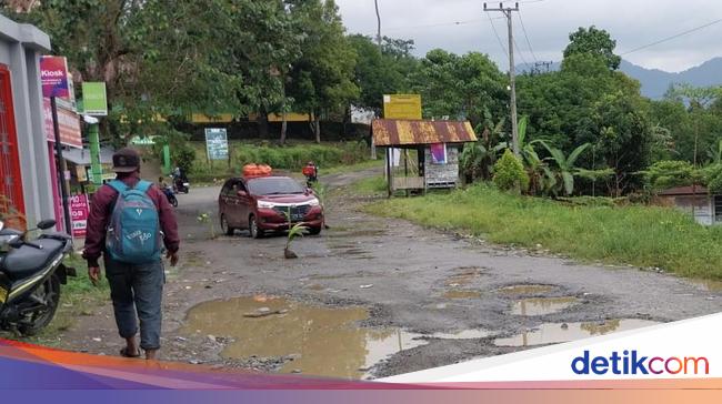 Warga Sinjai Tanam Pohon Pisang di Jalan Provinsi gegara Rusak Tak Diperbaiki