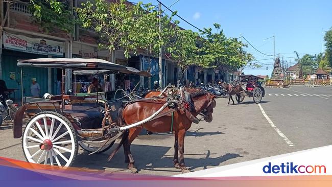 Ada Dokar Gratis di Denpasar Lho, Sudah Tahu?