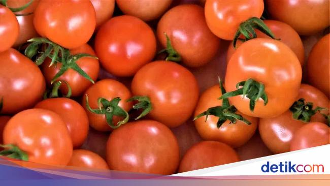 7 Manfaat Tomat untuk Diet, Rendah Kalori dan Tingkatkan Metabolisme