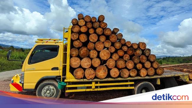 Pemprov Sumut Amankan Truk Angkut Puluhan Kayu Ilegal Logging di Taput
