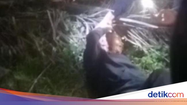 Viral Tukang Becak Tewas Diduga Dibegal-Dibuang ke Ladang Sawit di Sergai Viral Tukang Becak Tewas Diduga Dibegal-Dibuang ke Ladang Sawit di Sergai