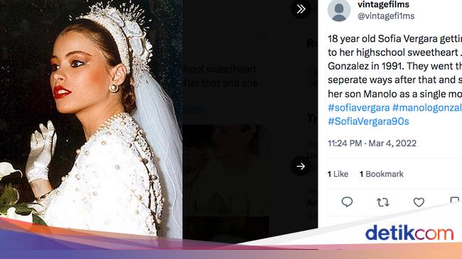 Lika-liku Cinta Sofia Vergara, Dari Rebutan Embrio Hingga Cerai 2 Kali