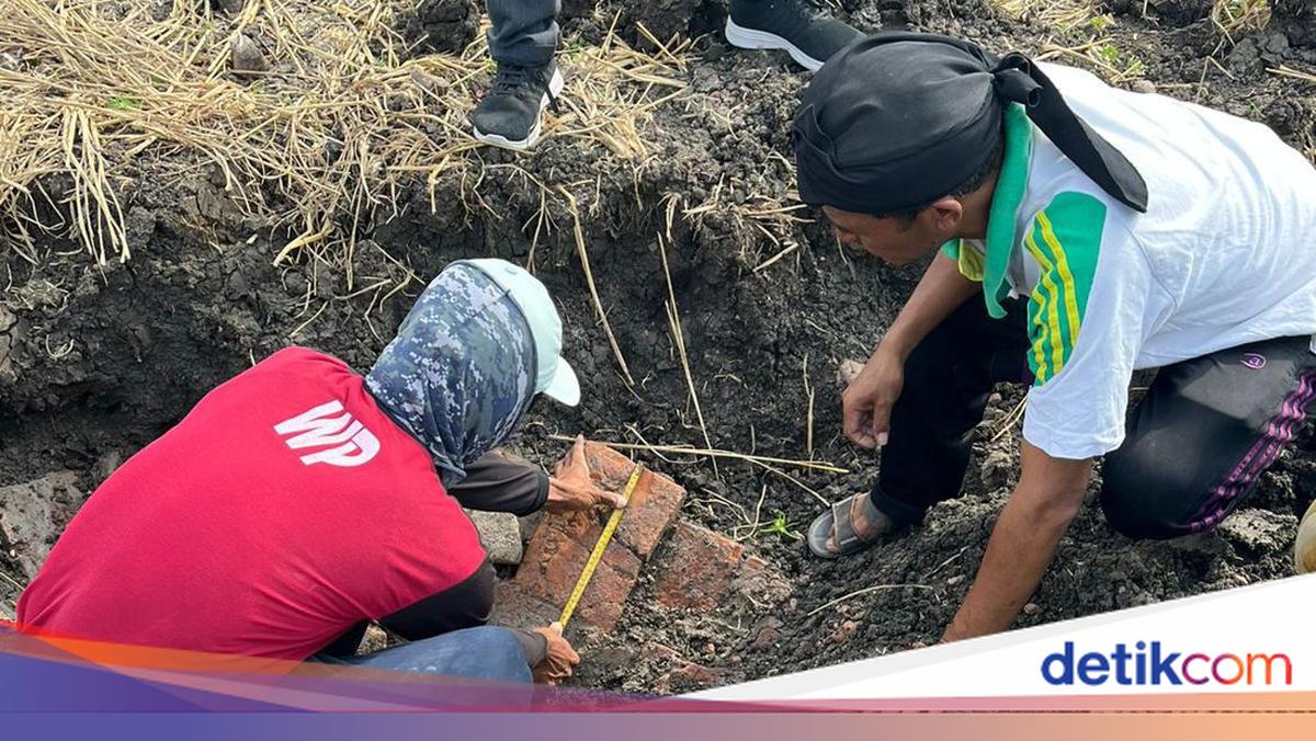 Warga Lamongan Temukan Batu Bata Kuno Saat Cangkul Sawah