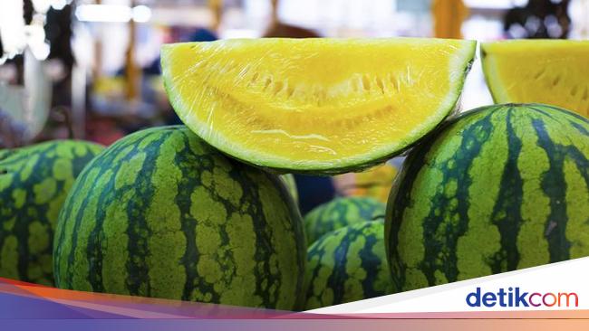 5 Fakta Semangka Kuning yang Segar Manis Seperti Semangka Merah