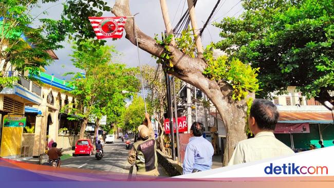 PKN Karangasem Geram Satpol PP Copot Bendera Parpol