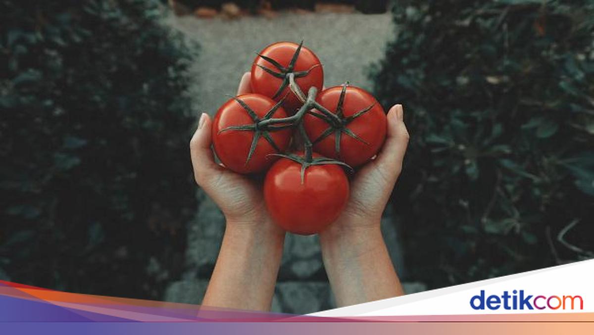 Tomat Itu Buah atau Sayur? Ini Penjelasan dari Sisi Botani dan Kuliner