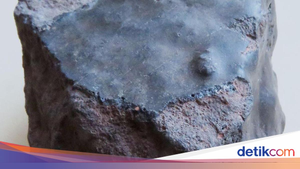 Batu Ini Diduga Terlempar ke Ruang Angkasa dan Kembali ke Bumi