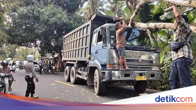 Pohon Tumbang Timpa Truk, Jalur Amlapura-Denpasar Macet 2 Kilometer