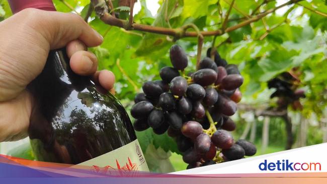 MUI Sebut 'Wine Halal' Nabidz Menyalahi Standar Halal, Ini 5 Faktanya