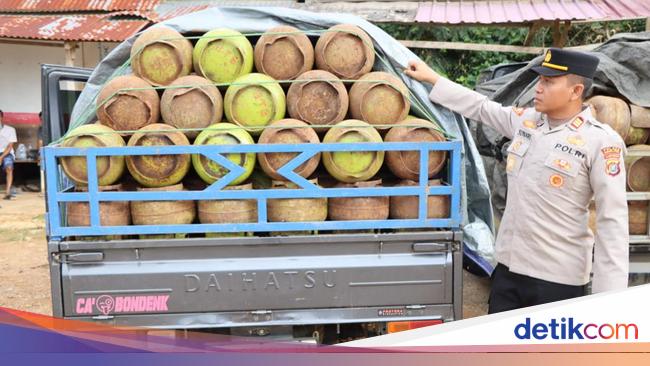 Polisi Gagalkan Penyelundupan 1.132 Tabung Elpiji 3 Kg di Konawe Utara Polisi Gagalkan Penyelundupan 1.132 Tabung Elpiji 3 Kg di Konawe Utara