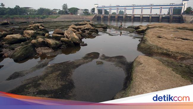 Sungai Cisadane Menyurut Gegara Kemarau dan Pintu Air Jebol