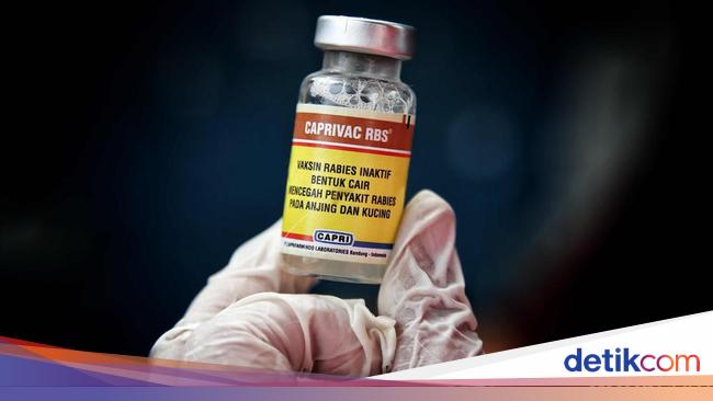 Peringati Hari Rabies, Pemkot Bandung Siapkan Vaksin Gratis Peringati Hari Rabies, Pemkot Bandung Siapkan Vaksin Gratis