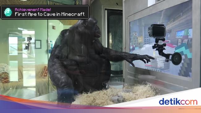 YouTuber Ajari Kera Main Minecraft, Hasilnya Mengejutkan