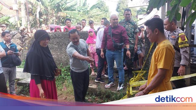 Pemilik Kucing yang Dikubur di Pemakaman Keluarga di Bogor Minta Maaf