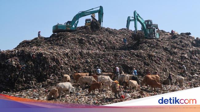 Jogja Darurat Sampah Buntut Penutupan Tpa Piyungan