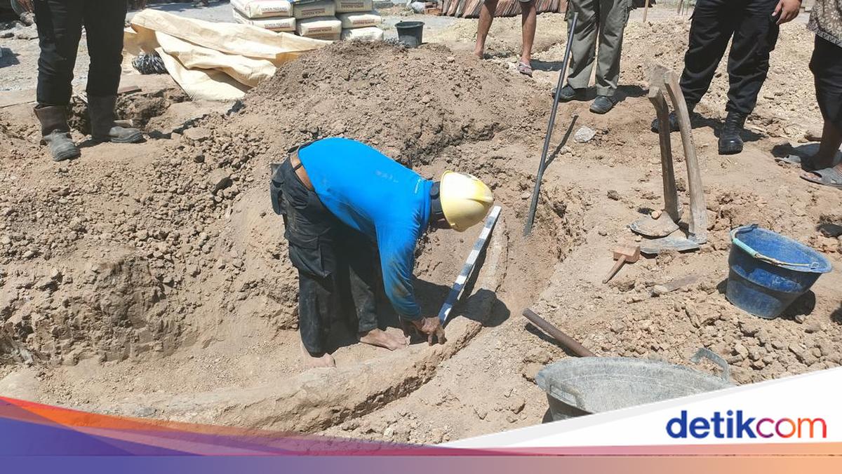 Fosil Adalah: Ini Pengertian, Contoh, dan Proses Pembentukannya