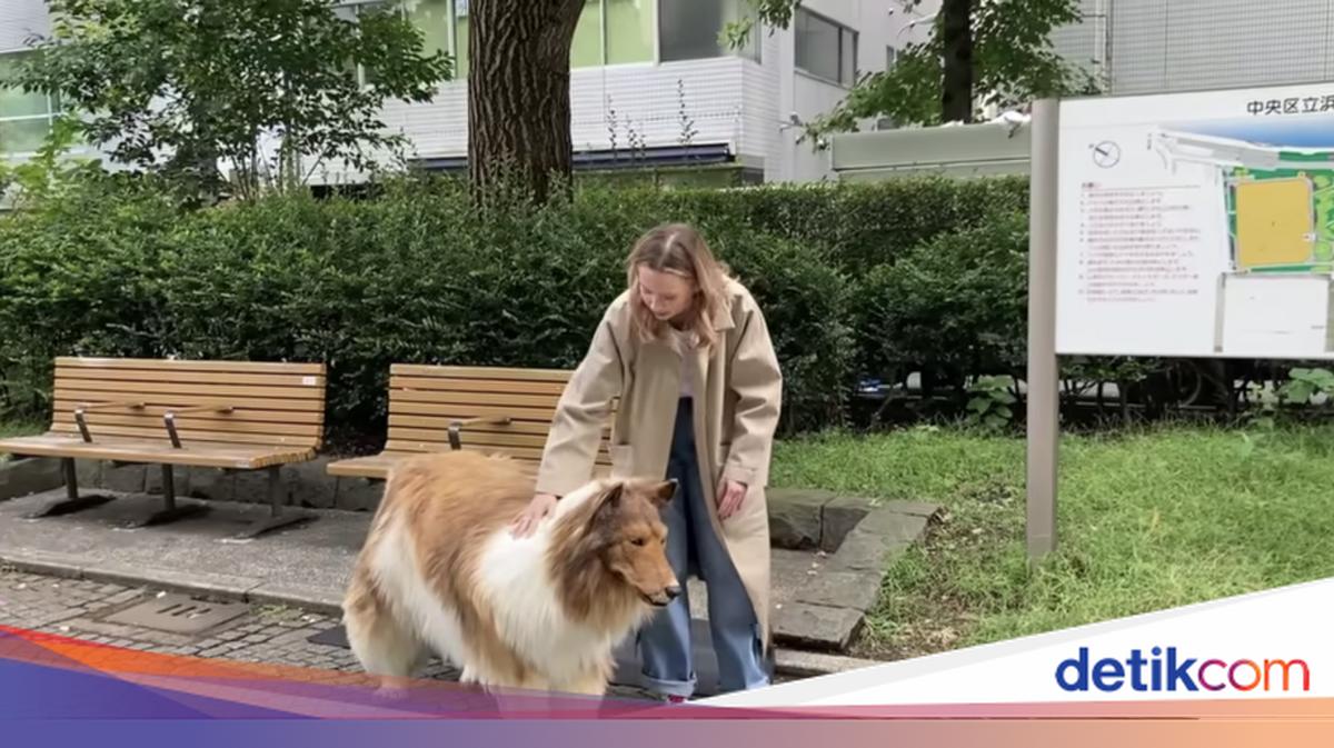 Pria Jepang Terobsesi Hidup Jadi Anjing, Ternyata Ini Alasannya