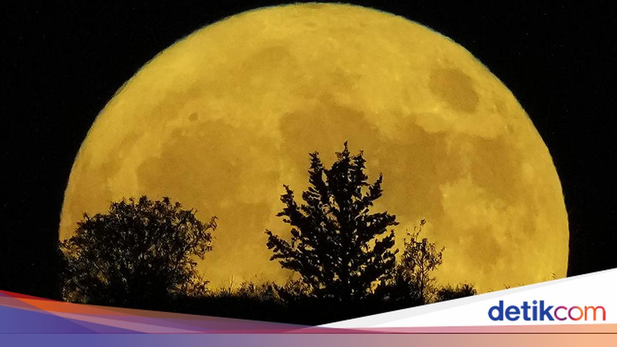 Jadwal Fenomena Full Moon dari Januari-Desember 2025, Kapan Saja?