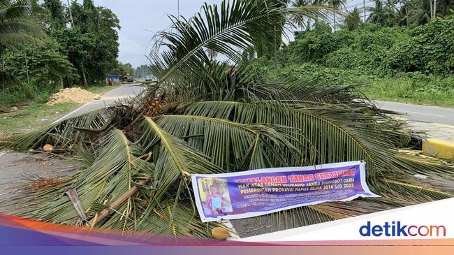 Masyarakat Adat di Jayapura Palang Jalan Provinsi, Tuntut Ganti Rugi Tanah