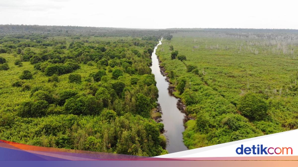 Macam-macam Tanah di Indonesia: Ciri dan Persebarannya