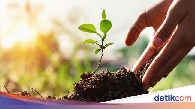 Dalil Keutamaan Menanam Pohon, Pahalanya Seperti Sedekah Jariyah