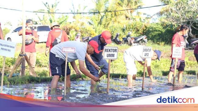 Beri Kontribusi Nyata, SDGs Center UMM Diakui Bappenas RI