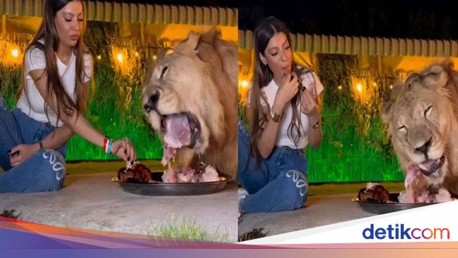 Ngeri Sedap! Wanita Cantik Ini Makan Daging Sepiring dengan Singa