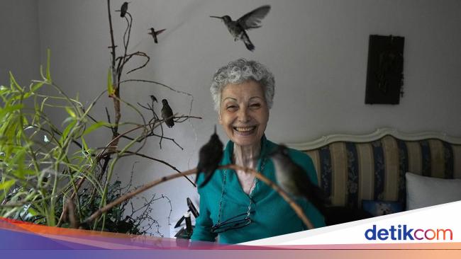 Wanita Meksiko Ubah Apartemennya Jadi Klinik Burung Kolibri