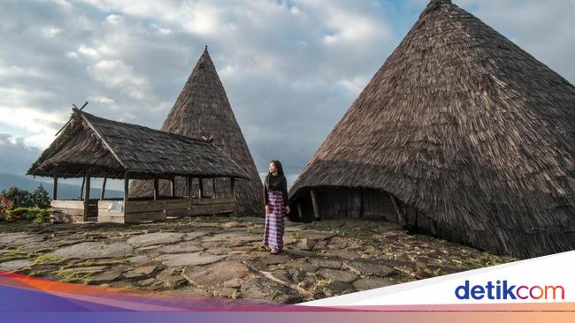 Mengenal Desa Adat Todo di Flores, Meriam Belanda-Gendang dari Kulit ...