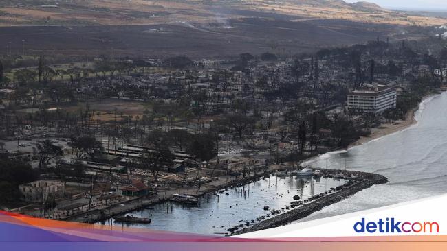 Cerita Mencekam Turis Terjebak Kebakaran Maui: Seperti Perang Dunia Cerita Mencekam Turis Terjebak Kebakaran Maui: Seperti Perang Dunia
