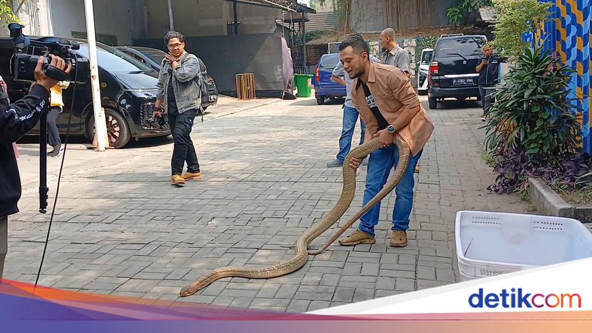 Anxiety Buat Kondisi Panji Petualang Makin Kurus hingga ke Psikiater