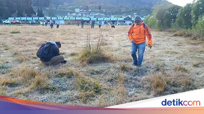 Mau Lihat Embun Es di Dieng? Ini Waktu dan Cara Amati Cuaca Sebelumnya