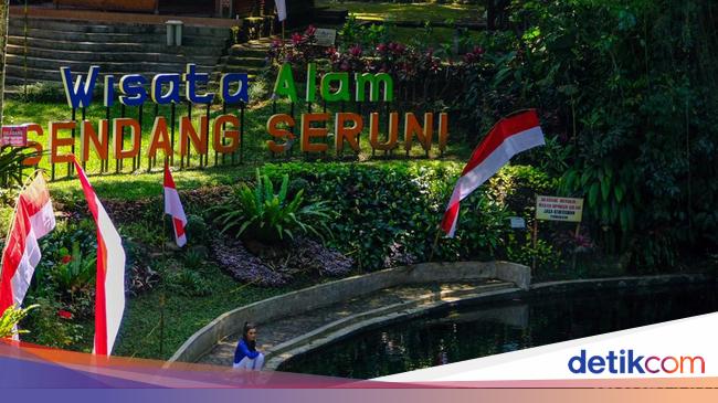 Berkunjung ke Sendang Seruni di Kaki Ijen, Airnya Bening Banget