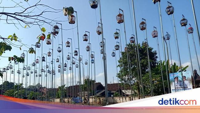 Burung Tekukur Bali, Dulu Diusir Kini Ditaksir Burung Tekukur Bali, Dulu Diusir Kini Ditaksir