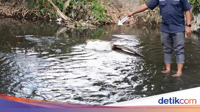 Sempat Hilang, Lansia di Lombok Ditemukan Tewas Mengapung di Sungai