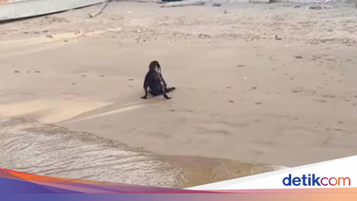 Viral Video 'Penampakan Setan Hitam' di Pantai Bikin Heboh
