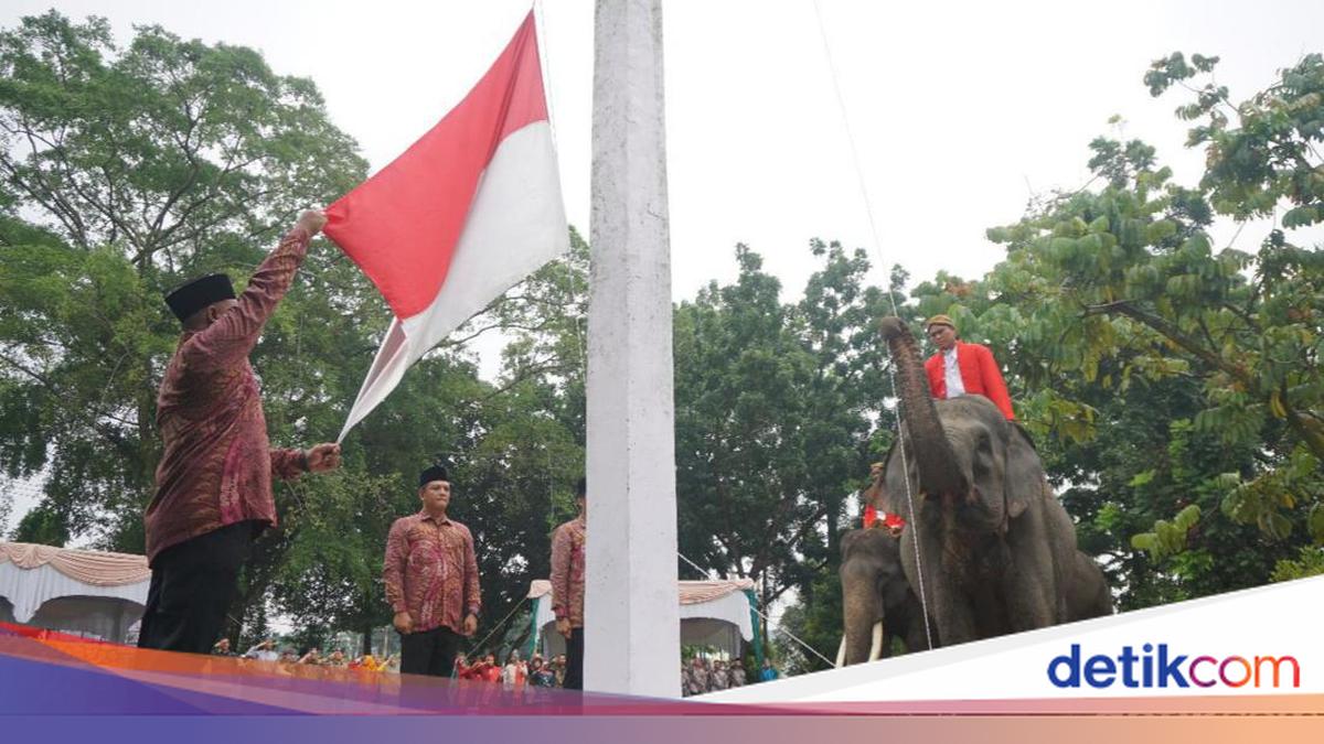 Paskibra Gajah Sukses Kibarkan Bendera Merah Putih di Pekanbaru