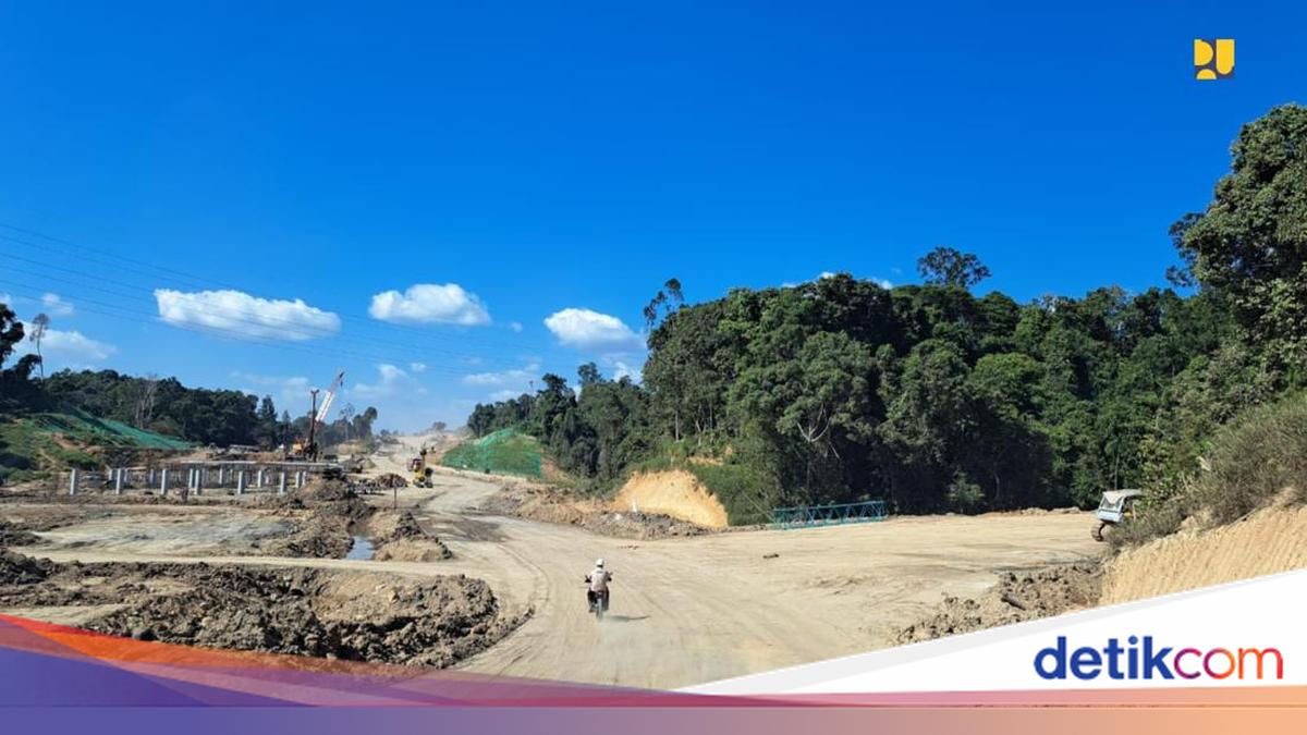 Banyak Investor Asing Lirik IKN, Jokowi Sebut dari Korsel hingga UEA