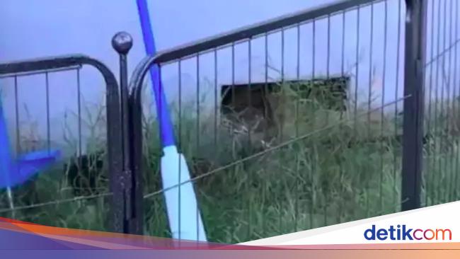 Kisah Viral Wanita Dengar Suara Aneh, Ternyata Orang Asing Tinggal di Rumah