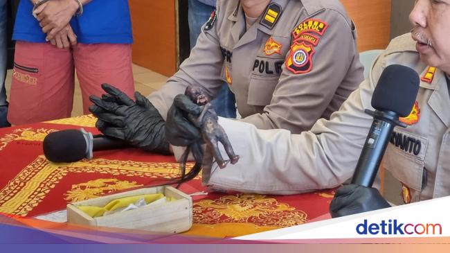Modus Tipu-tipu Jenglot Rp 17 Juta: Ritual Mandi Kembang demi Tarik ...