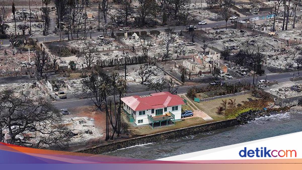 Cerita Pemilik 'Rumah Atap Merah' yang Utuh di Tengah Kebakaran Dahsyat ...