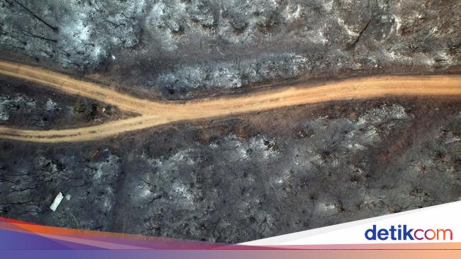 Desa di Yunani Ini jadi Tandus Gegara Kebakaran Hutan