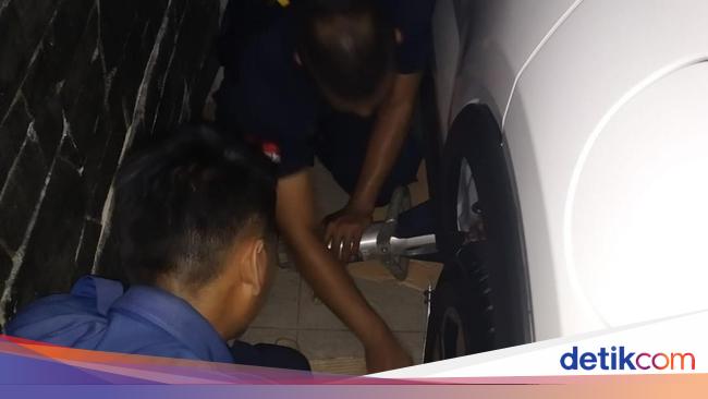 Anjing Peliharan di Bogor Terjepit Ban Mobil, Damkar Turun Tangan