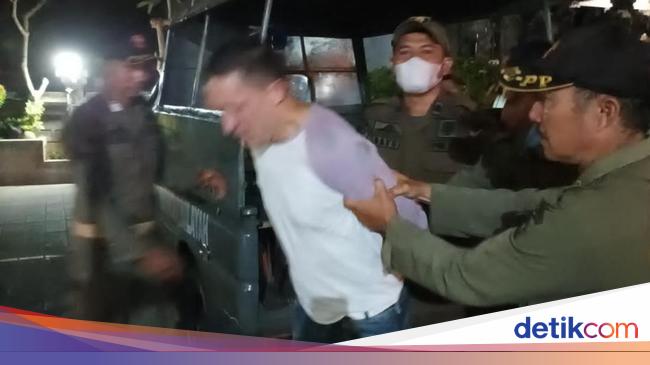 Viral Bule Mengamuk di Dekat Acara Bupati Badung