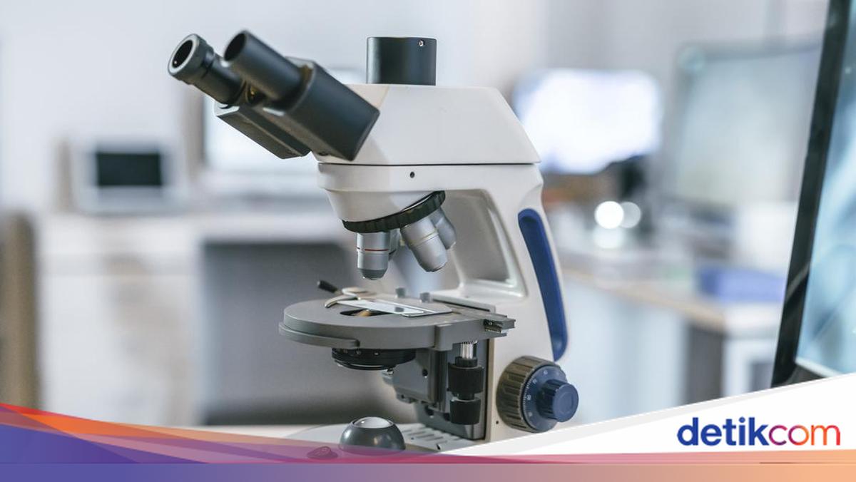 Apa Itu Cawan Petri? Begini Jenis, Fungsi, dan Cara Menggunakannya