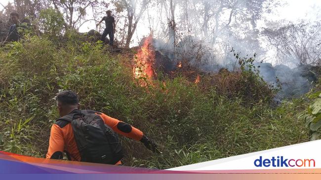 Tim Gabungan Masih Berjibaku Padamkan Karhutla Gunung Ciremai