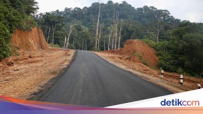 Jalan Perbatasan Kalbar Tembus Kaltim Dikebut Rampung 2024, Begini Progresnya